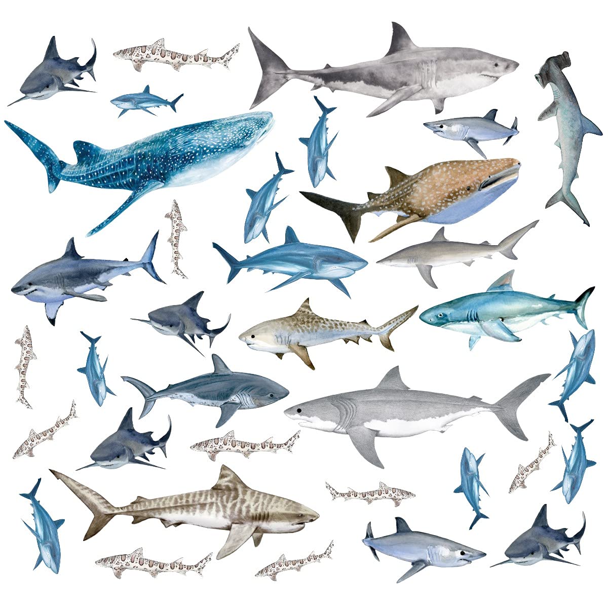 Snapklik.com : IARTTOP Ocean Animal Shark Wall Decal, Under The Sea ...