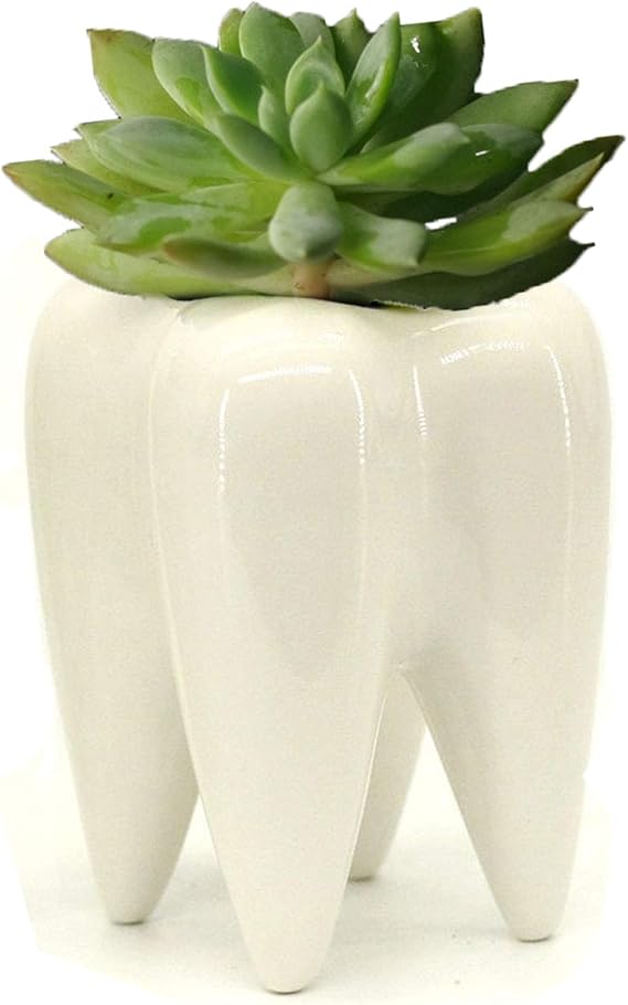 Amazon.com: MONMOB Ceramic Tooth Shaped Pen Pencil Toothbrush Holder ...