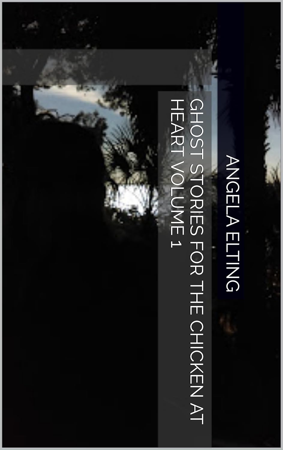 Ghost Stories For The Chicken at Heart Volume 1 eBook : Elting, Angela ...