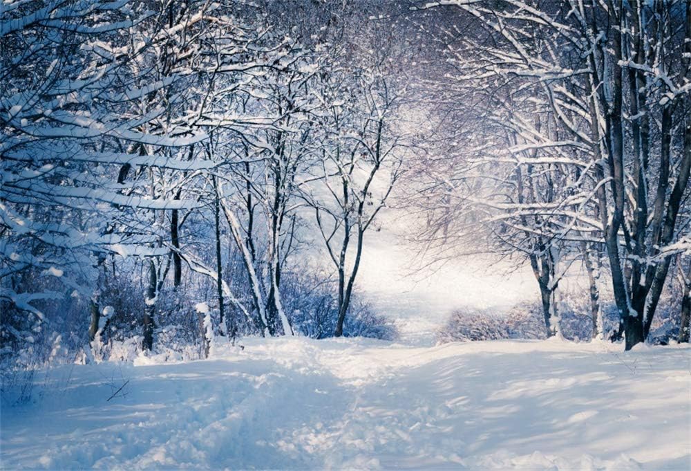 Amazon.com : AOFOTO 5x3ft Winter Natural Landscape Photography ...