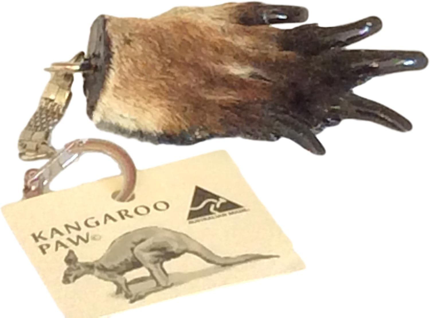 Souvenirs Australia RooBalls Kangaroo Paw Key Chain at Amazon Men’s ...