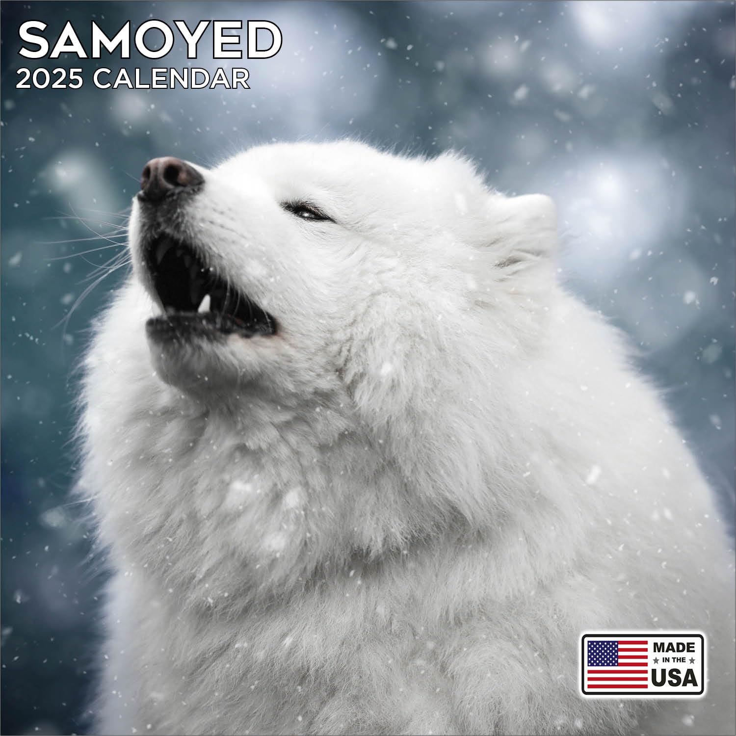 Snapklik.com : 2025 Samoyed Calendar - Dog Breed Wall Calendar - 12 X ...