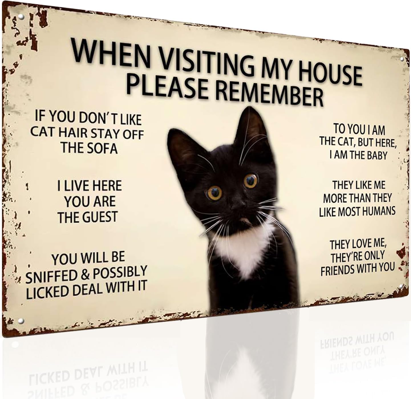 Amazon.com: Luoboken Funny Cat Rules Metal Sign- When Visiting My House ...