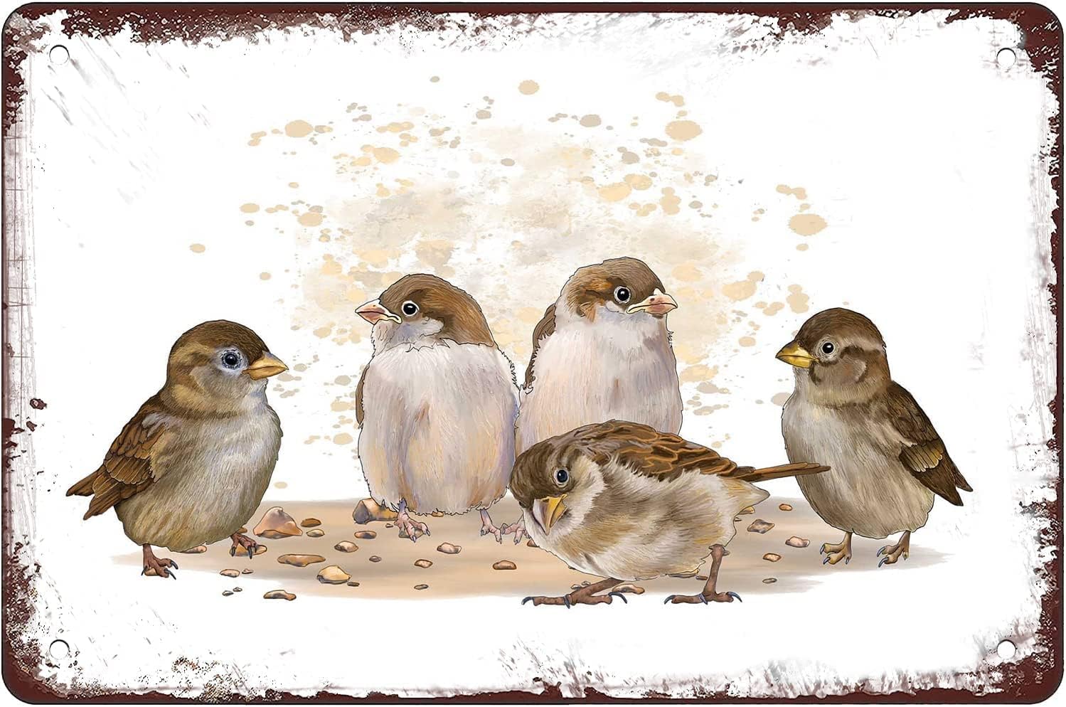 Amazon.com: Graman Vintage Metal Tin Sign Birds Watercolor Aluminum ...