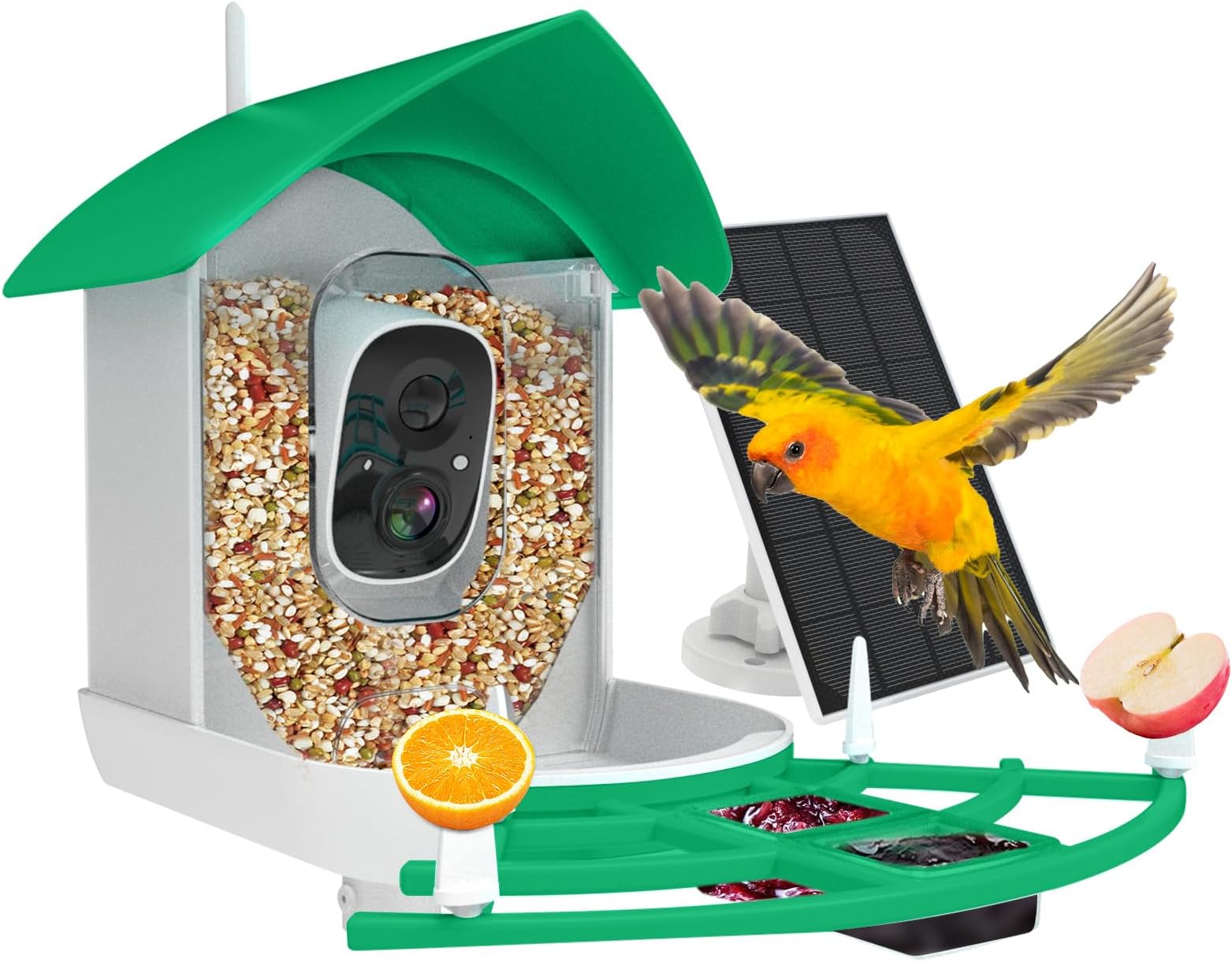 Amazon.com : Camojojo Bird Feeder with Camera of 32MP Photo & 4K Video ...
