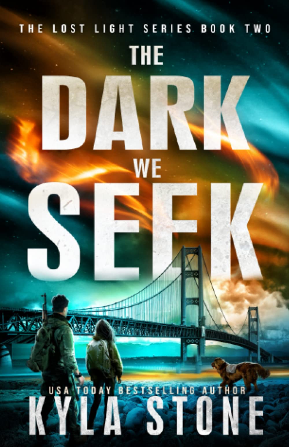 The Dark We Seek: A Post-Apocalyptic Survival Thriller (Lost Light): Stone, Kyla: 9781945410925 ...