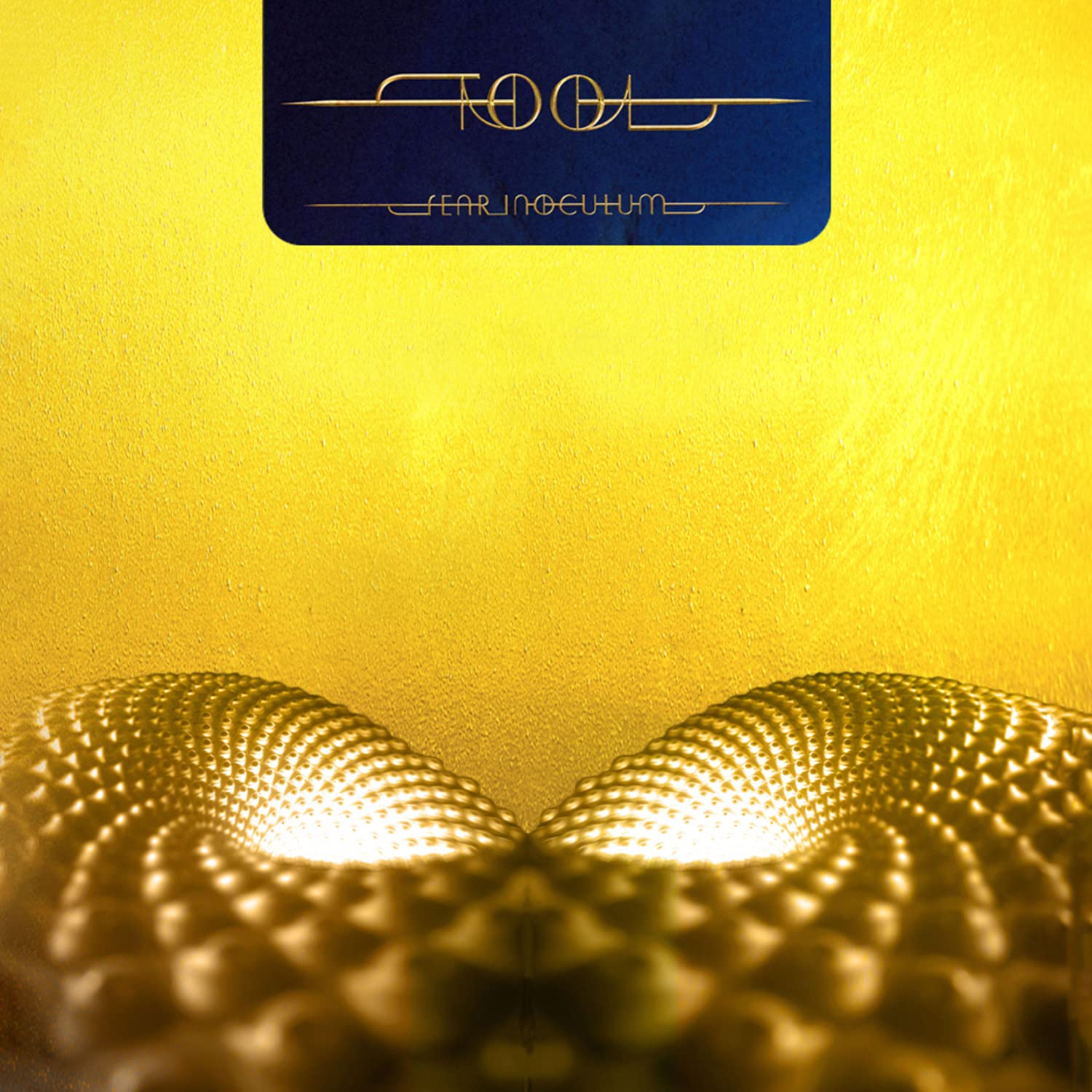 Fear Inoculum (Vinyl): Tool: Amazon.ca: Music