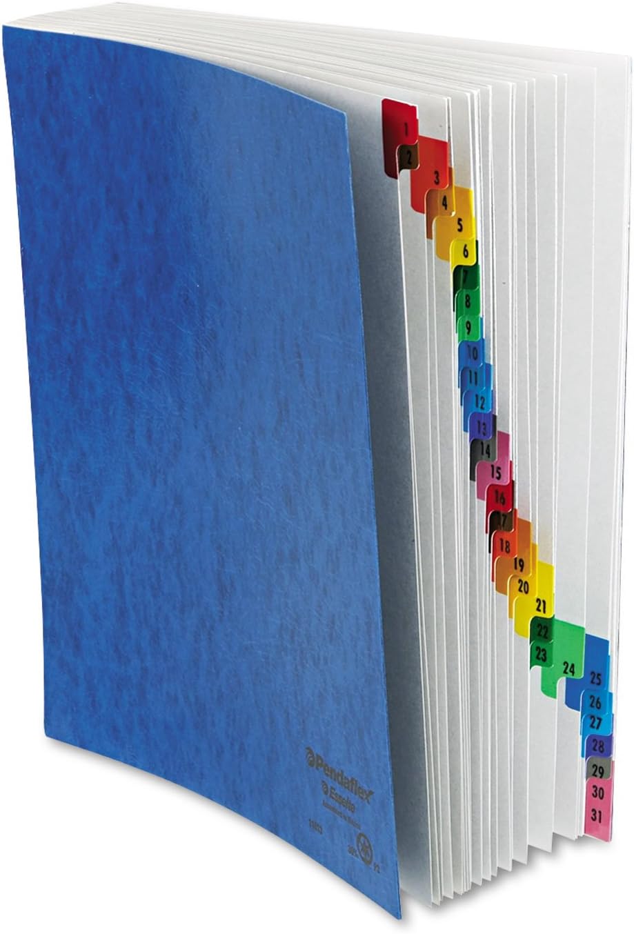 Amazon.com : Pendaflex Expanding Desk File, Daily (1–31), Letter Size ...