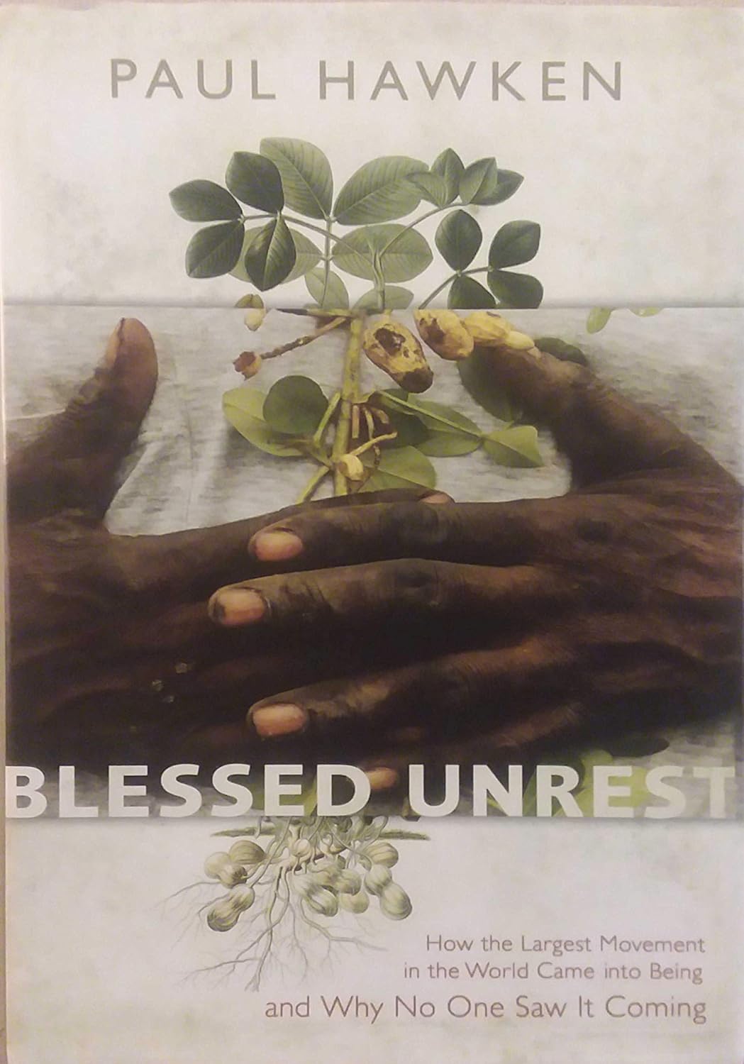 Blessed Unrest: How the Largest Movement in the World Came Into Being ...