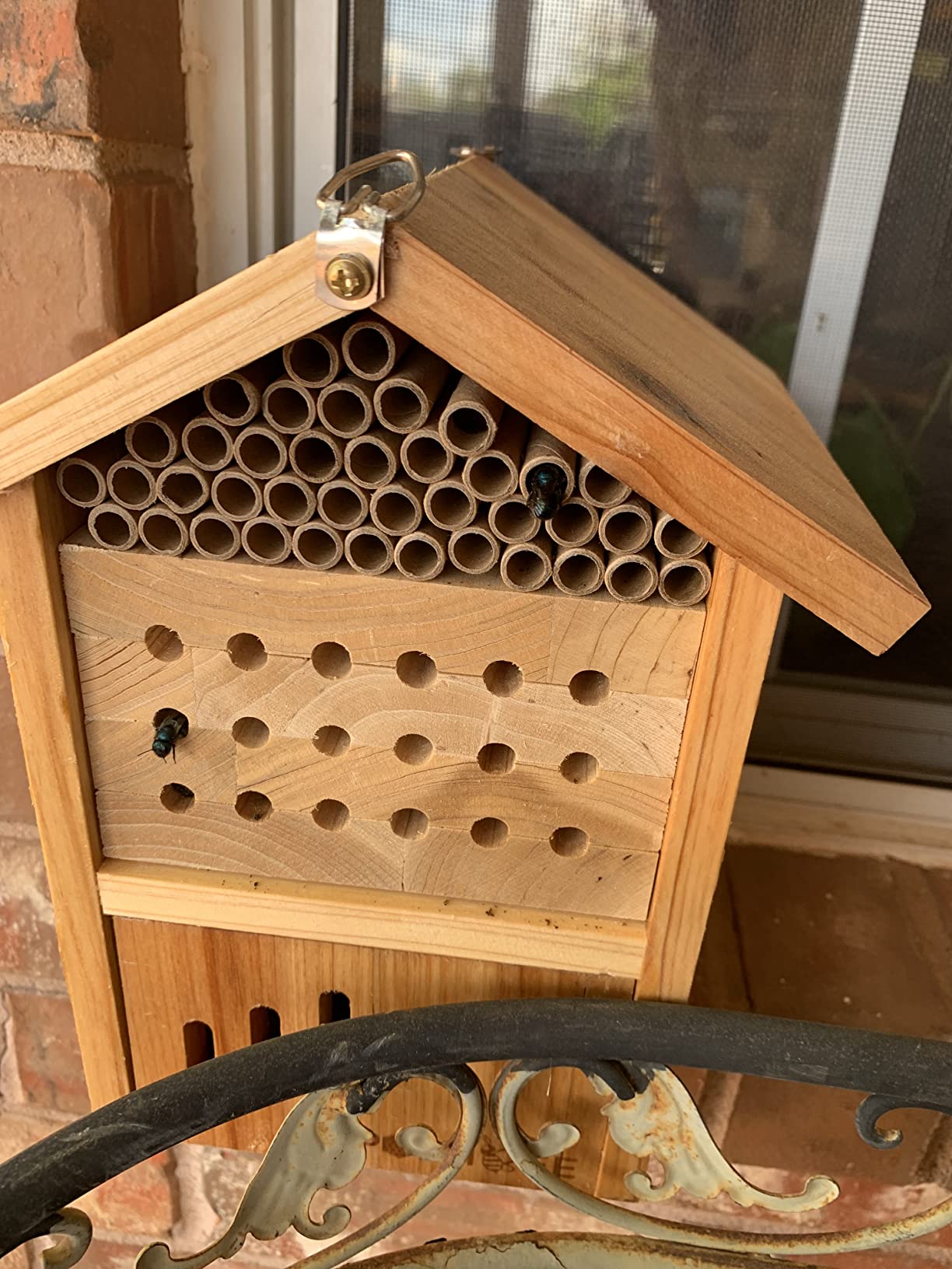 $8/mo - Finance POLLIBEE Mason Bee House-Wax Coated Mason Bee Hive ...