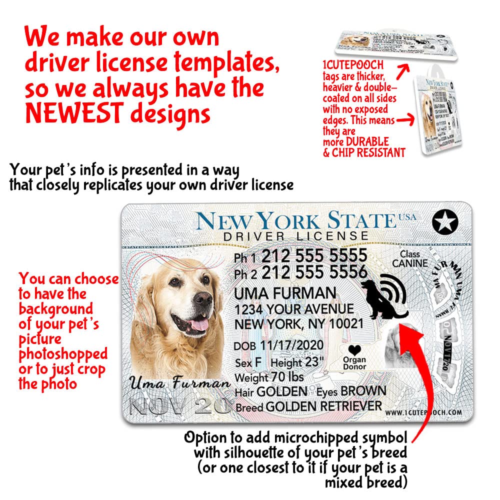 Do I Need A Dog License In Ny