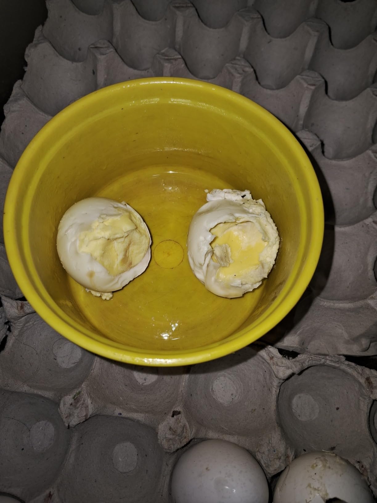 On-Day By Ovo Farm, Pack of 30 : Amazon.in: Grocery & Gourmet Foods