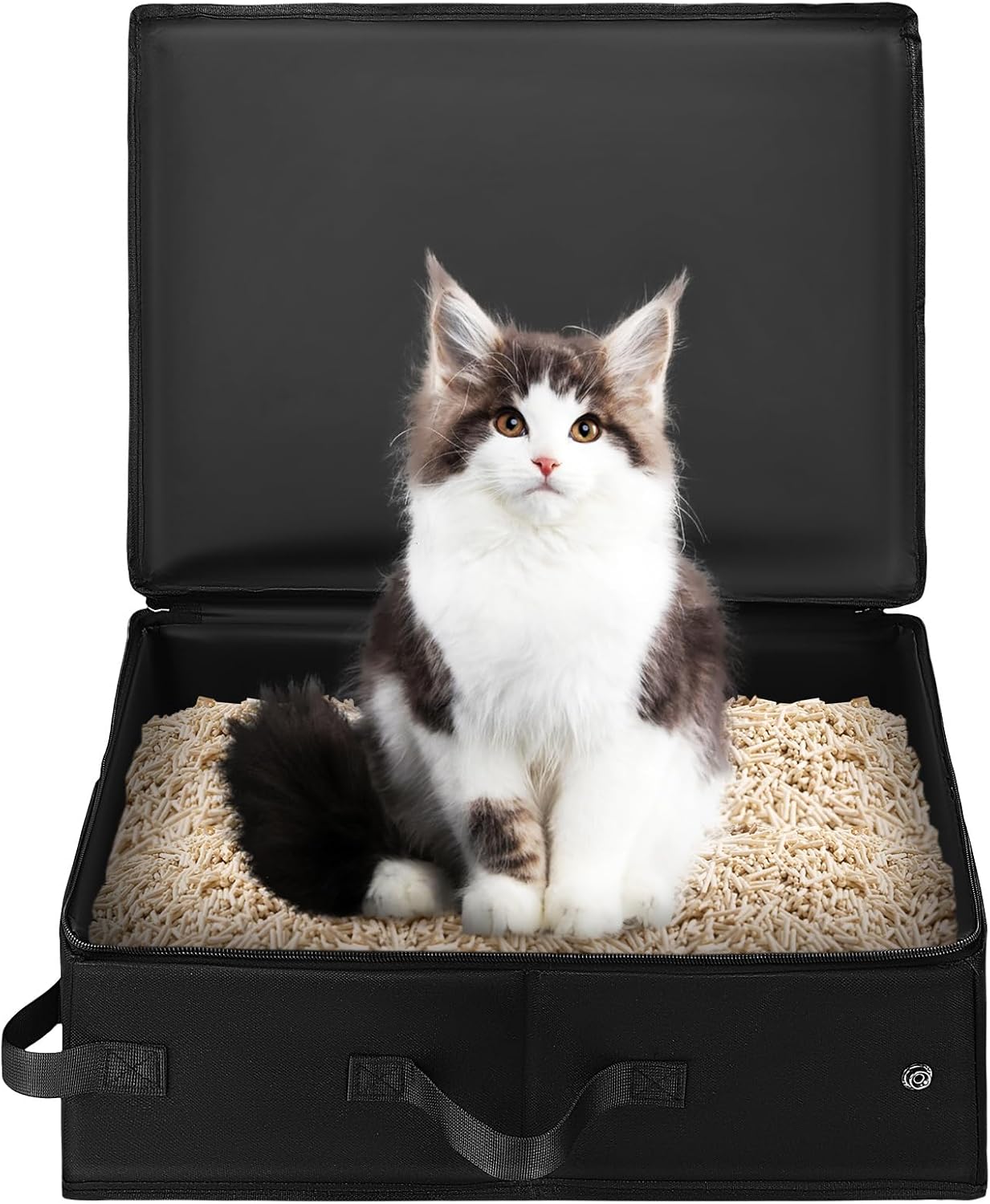 Amazon.com: Portable Cat Litter Box for Travel: Collapsible Litter Box ...