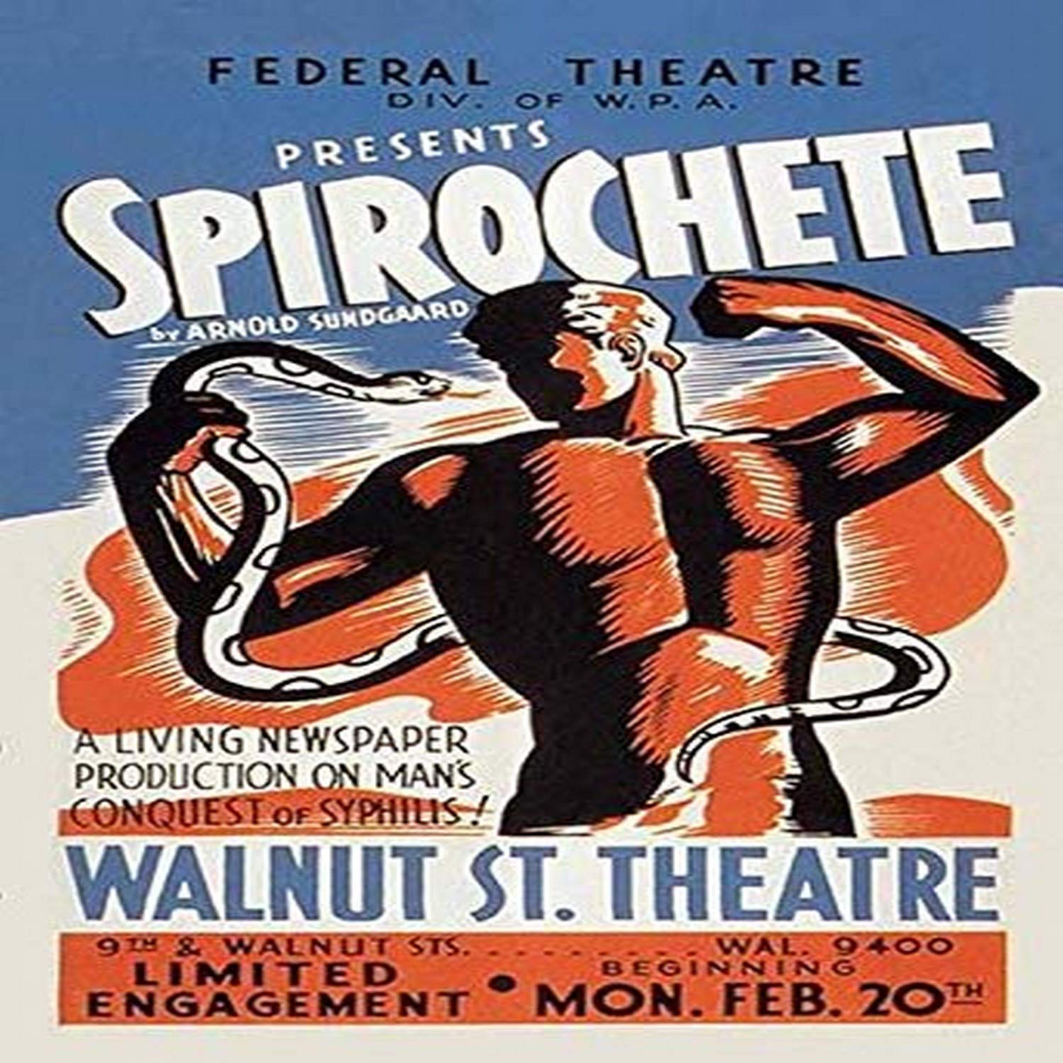 Amazon.com: SPIROCHETE is any bacterium of the order Spirochaetales ...