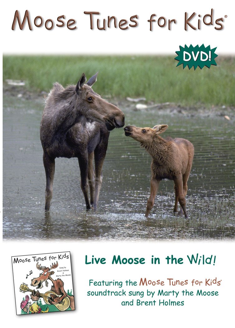 Amazon.com: Moose Tunes for Kids: Live Moose in the Wild! : Marty The ...