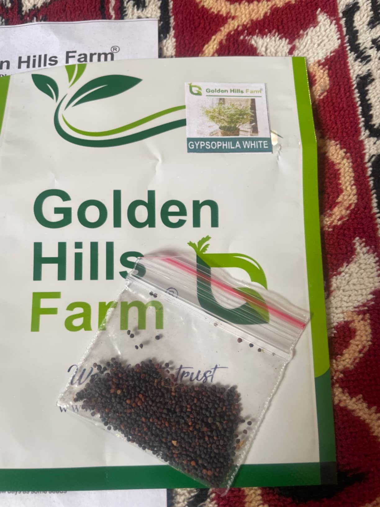 Golden Hills Farm Gypsophila Gypsy Compact White Flower 500-1008 seeds ...