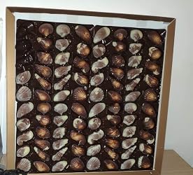 Guylian Original Seashells - Milk Chocolate Creamy Hazelnut Filling ...