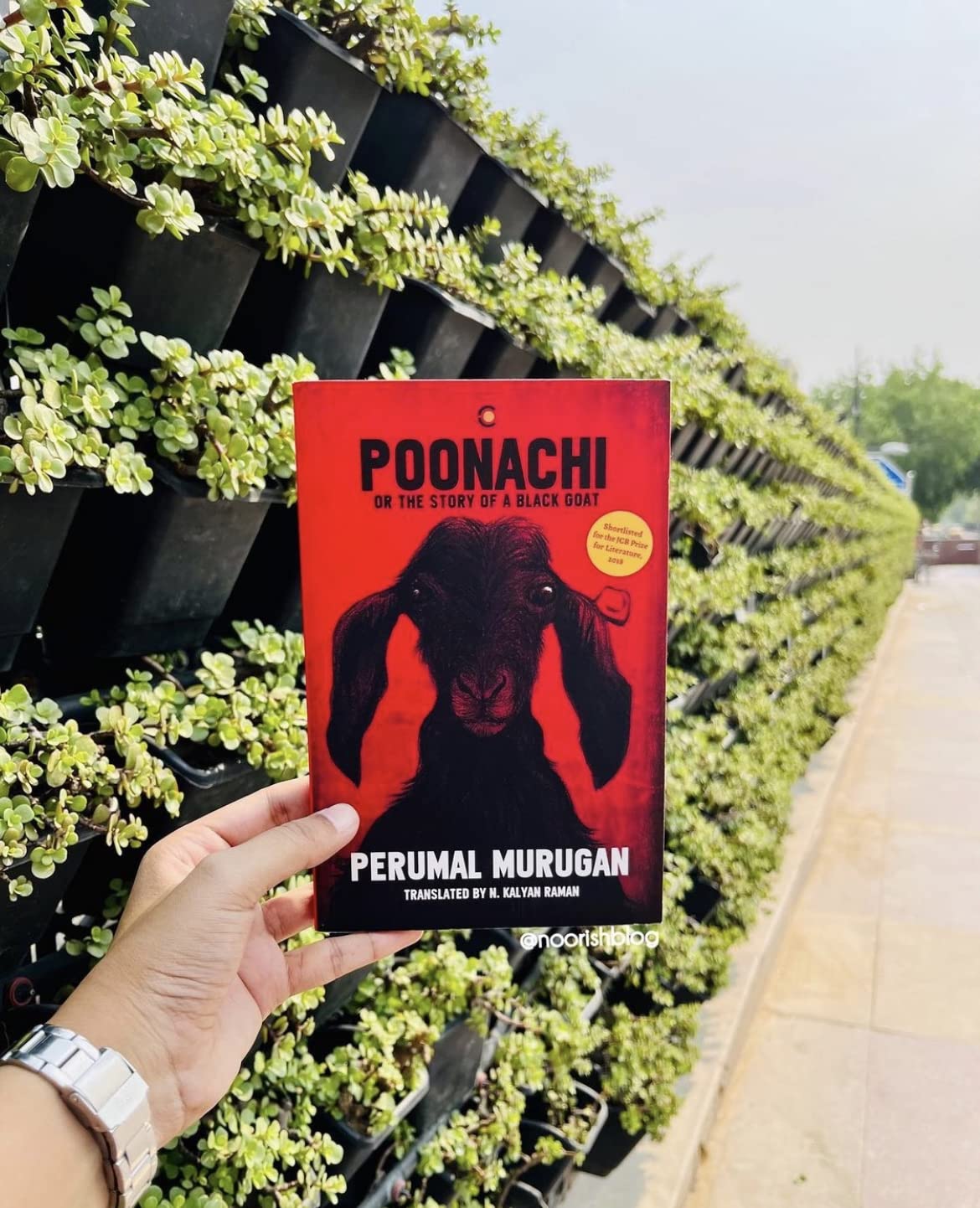 Buy Poonachi: or the Story of a Black Goat: PB Book Online at Low ...