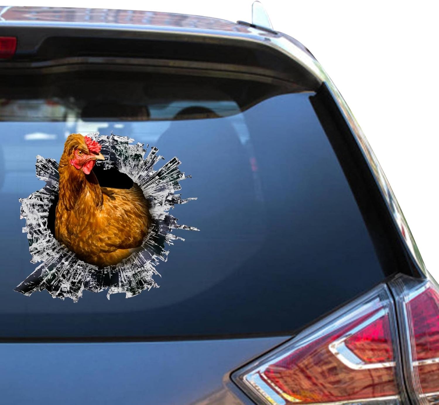 Amazon.com: Chicken Lettering Stickers Chicken Window Stickers Chicken ...