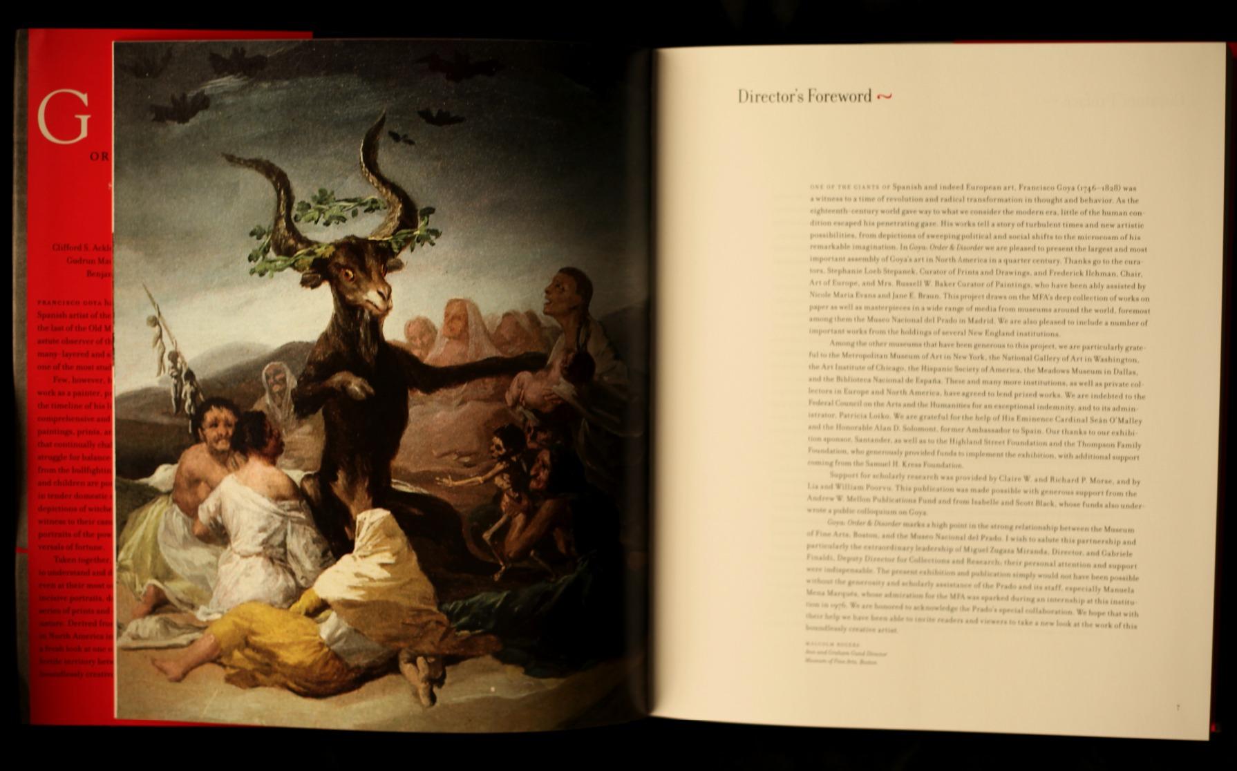 Amazon.com: Goya: Order & Disorder: 9780878468089: Goya, Stepanek ...