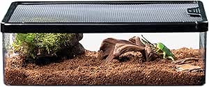 Reptile Carrier, 223210 Cm Feeding Box, Pet House for Lizards, Beetles ...
