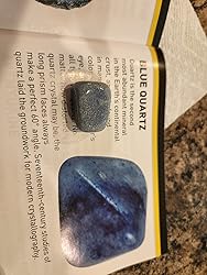 Amazon.com: NATIONAL GEOGRAPHIC Mega Fossil and Gemstone Dig Kit ...