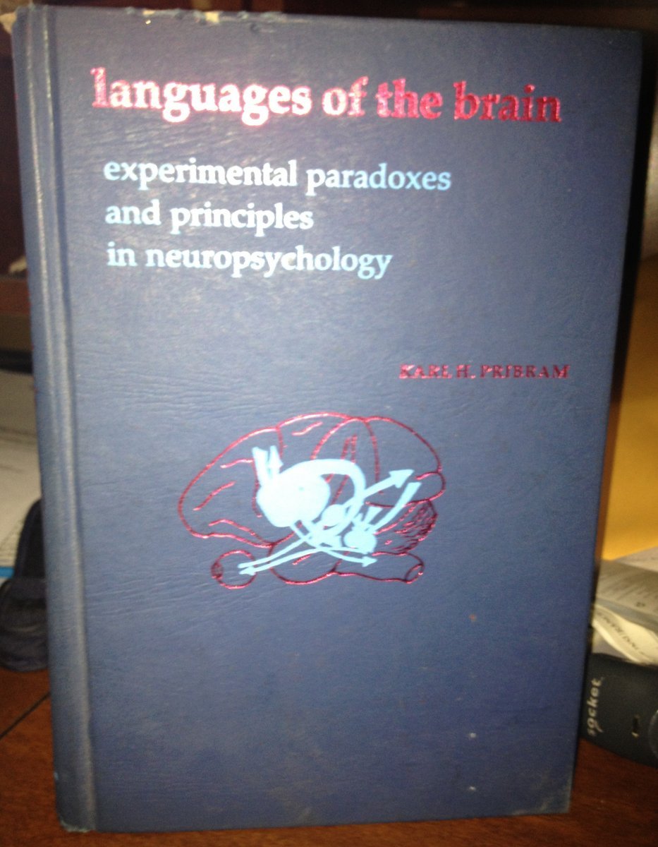 Amazon.com: Languages of the Brain: Experimental Paradoxes and ...