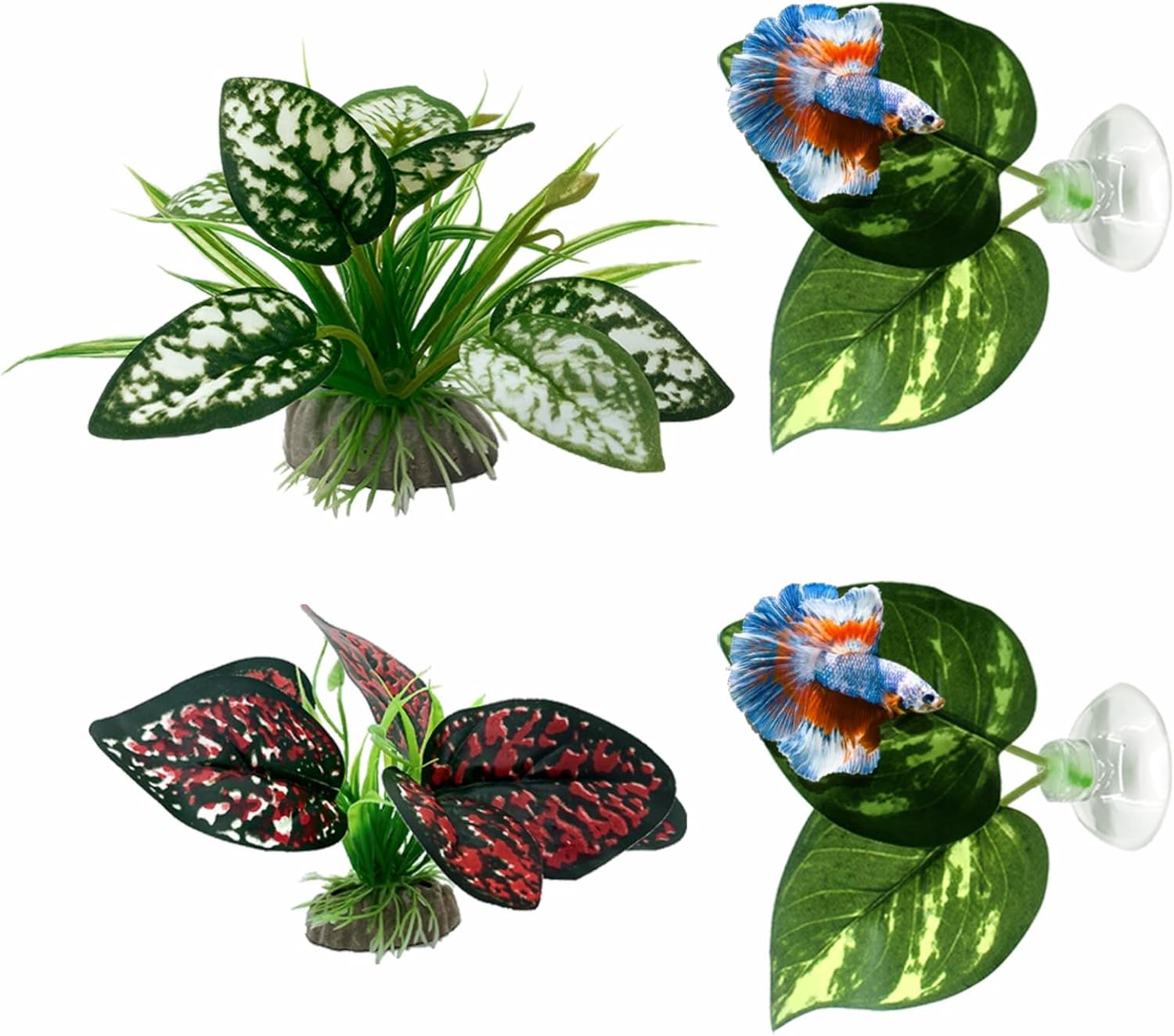 Amazon.com: Moonorange Betta Hammock, 4 Pack Betta Fish Leaf Pad and ...