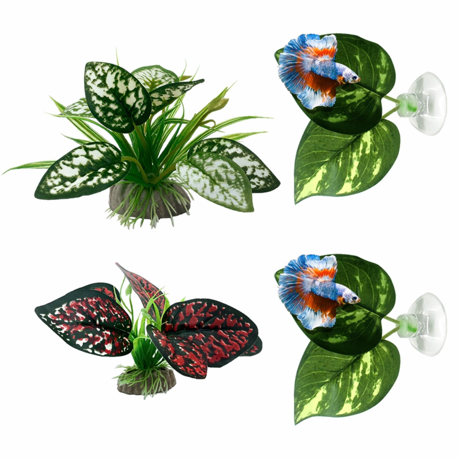 Amazon.com: Moonorange Betta Hammock, 4 Pack Betta Fish Leaf Pad and ...