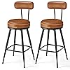 Amazon.com: FUNROLUX Swivel Bar Stools with Backrest, Modern Adjustable ...