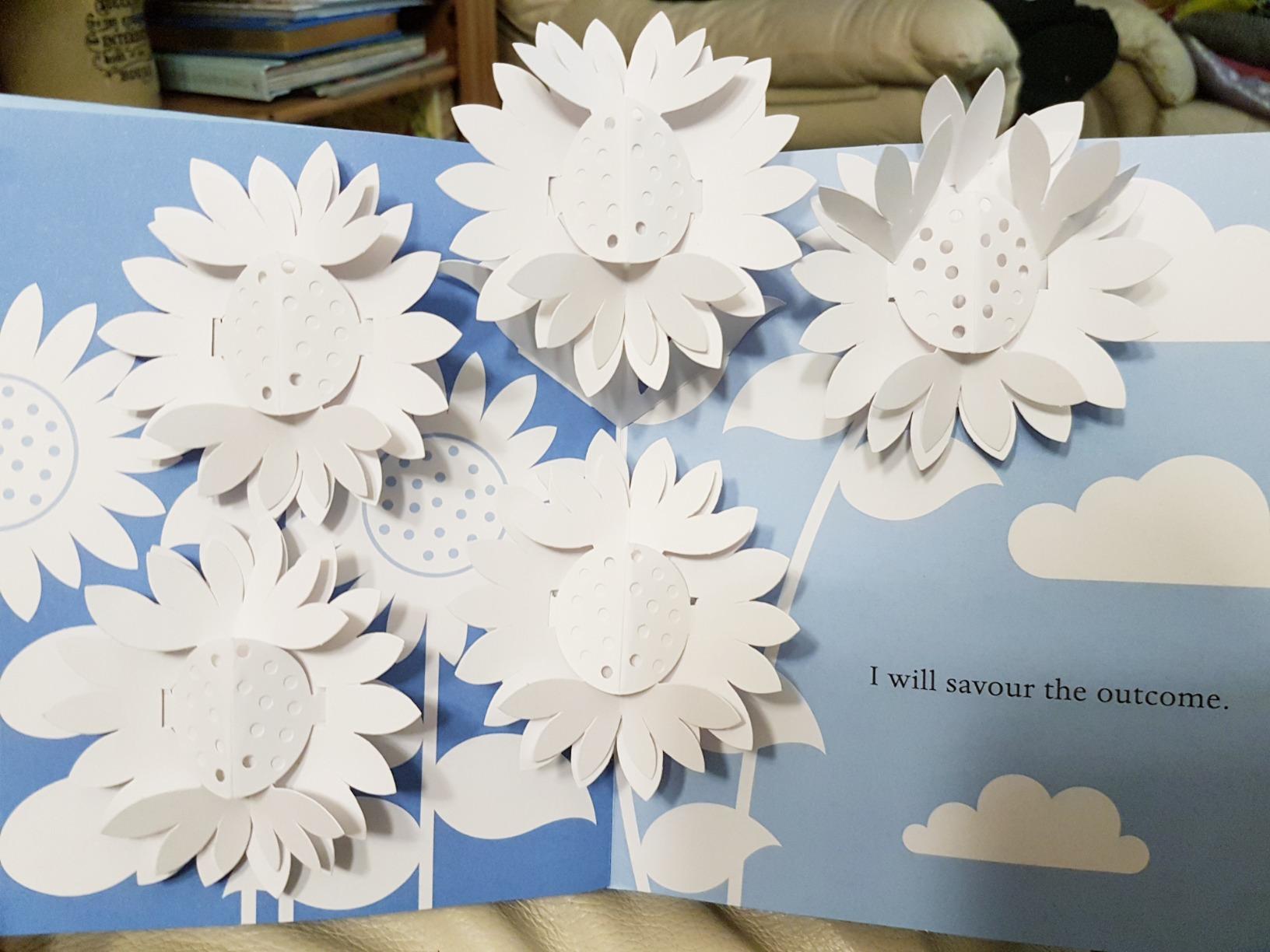 Believe. A Pop-Up Book of Possibilities : Sabuda, Robert, Sabuda ...