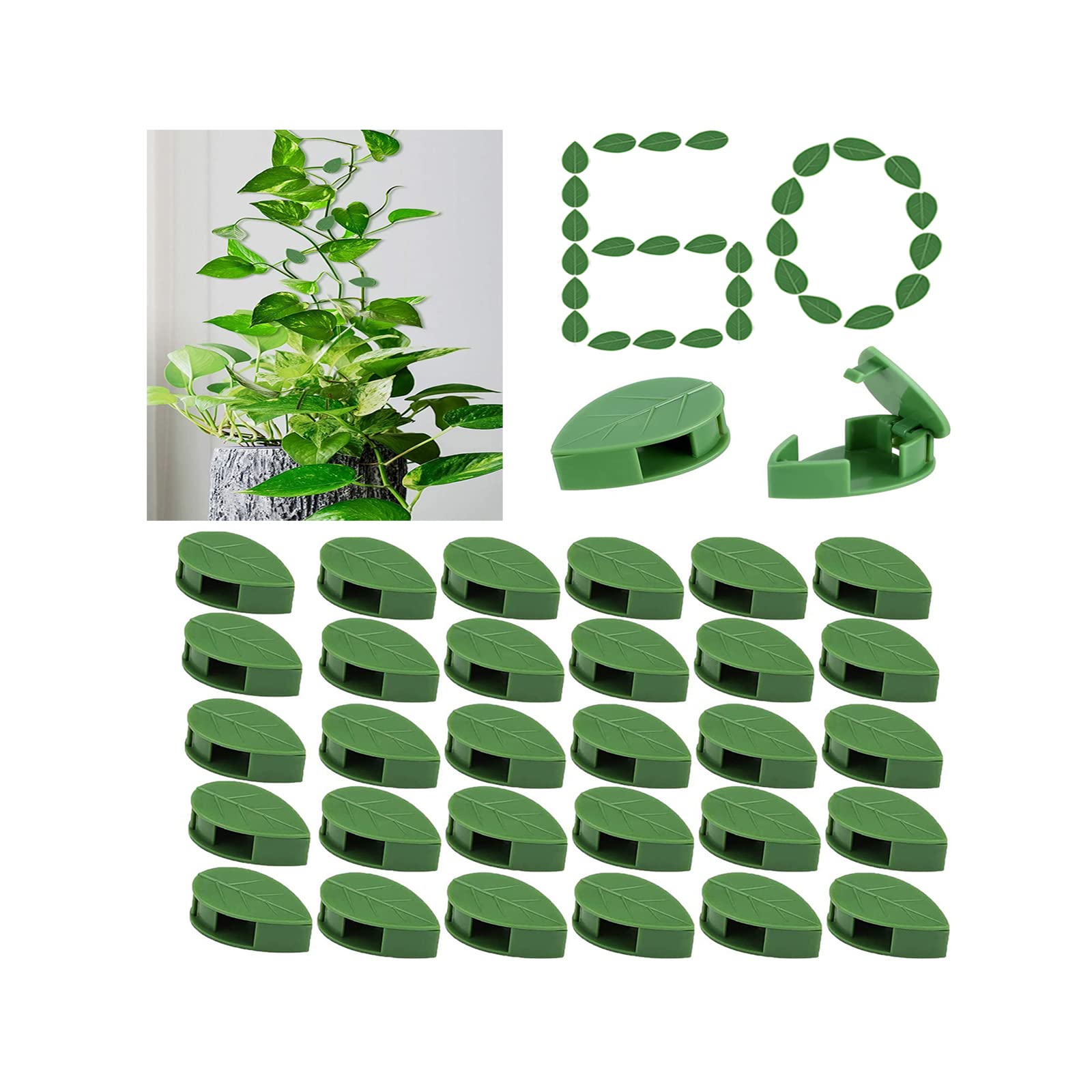 Amazon.com : KOCNYDEY 60 Pcs Plant Climbing Wall Fixture Clips Acrylic ...