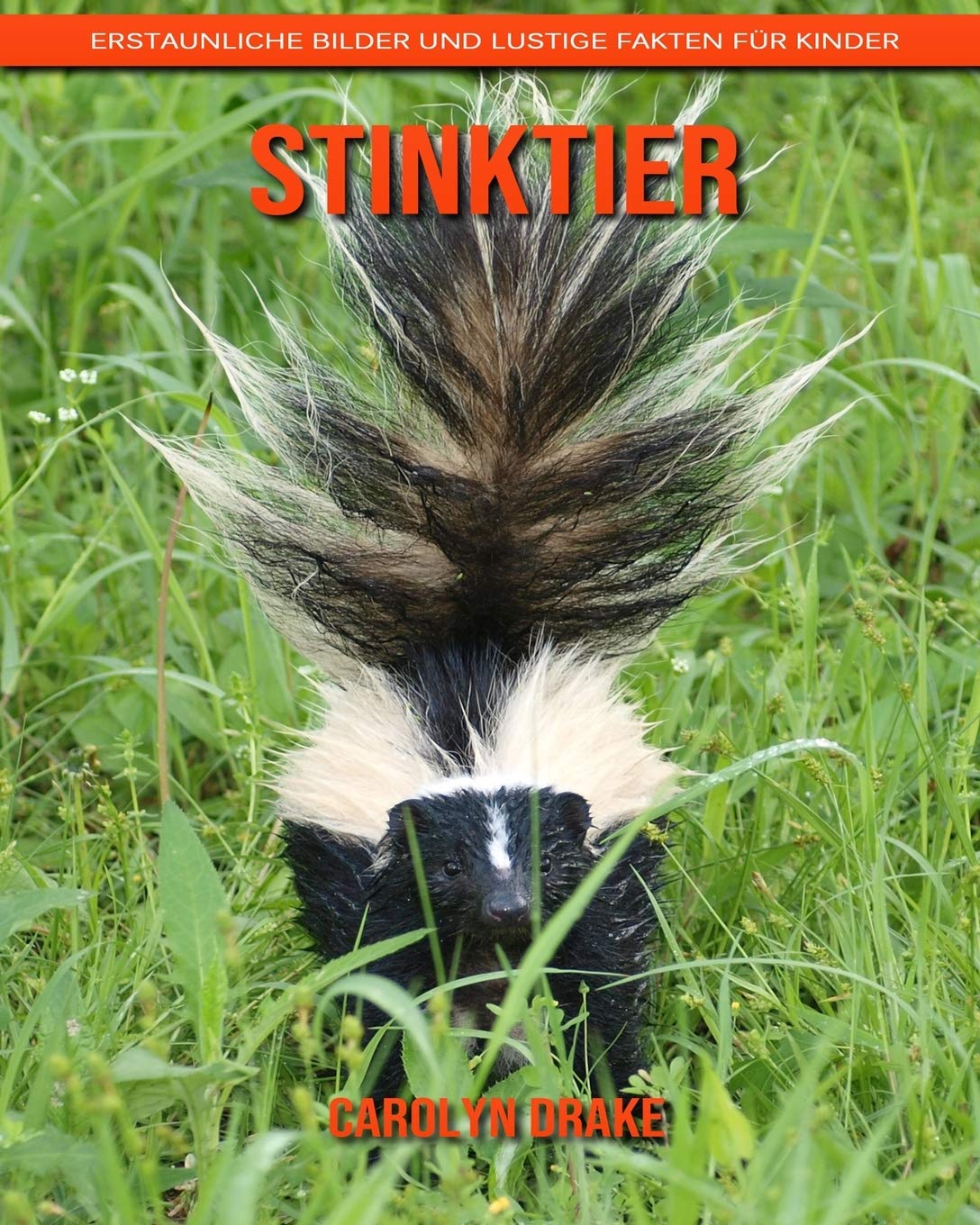 Stinktier Erstaunliche Bilder Und Lustige Fakten Fur Kinder ...