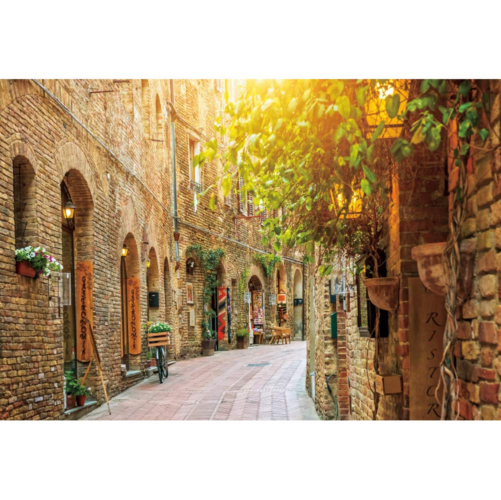 Buy OERJU 5x4ft Italy Old Town Alley View Photography Background ...