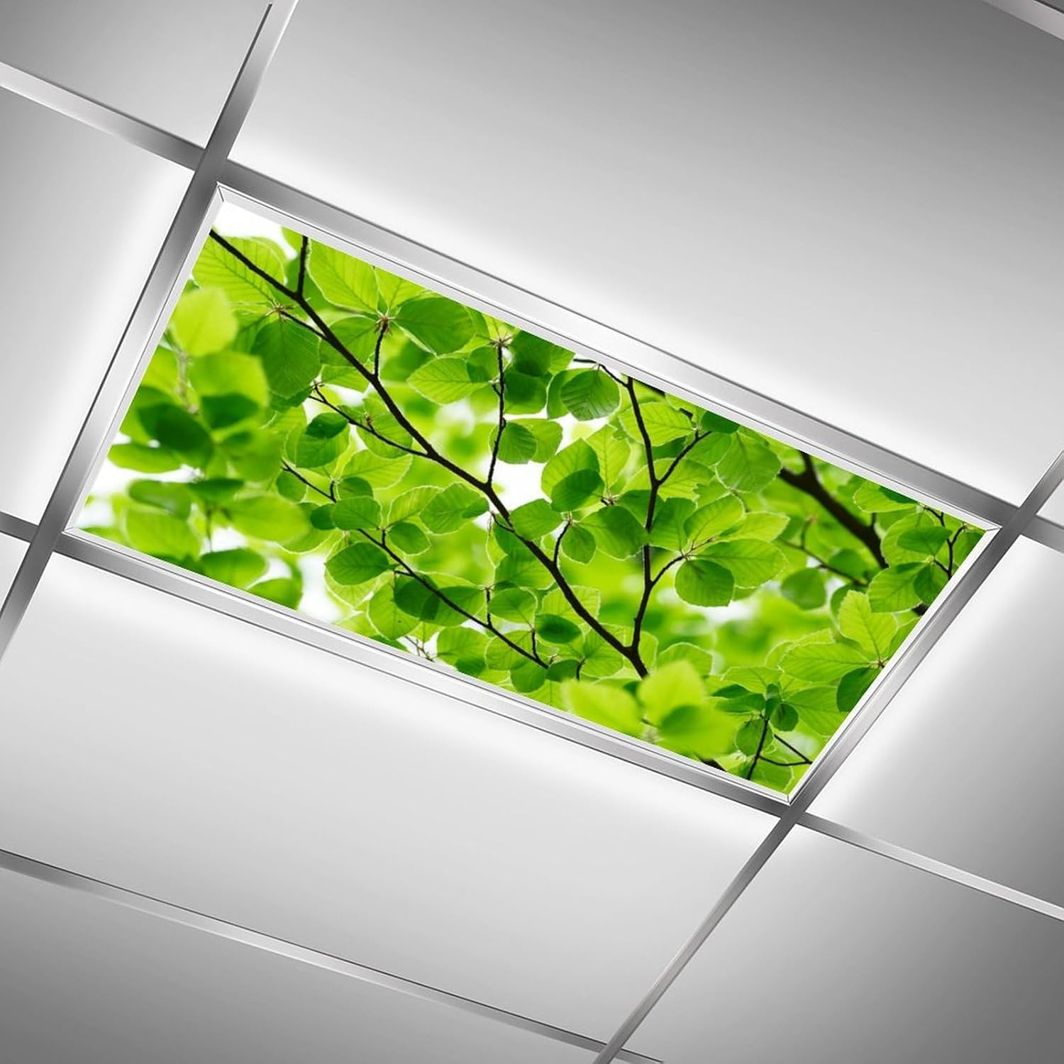 Fluorescent Light Cover for Classroom - 2 Pcs Spring Green Magnetic ...