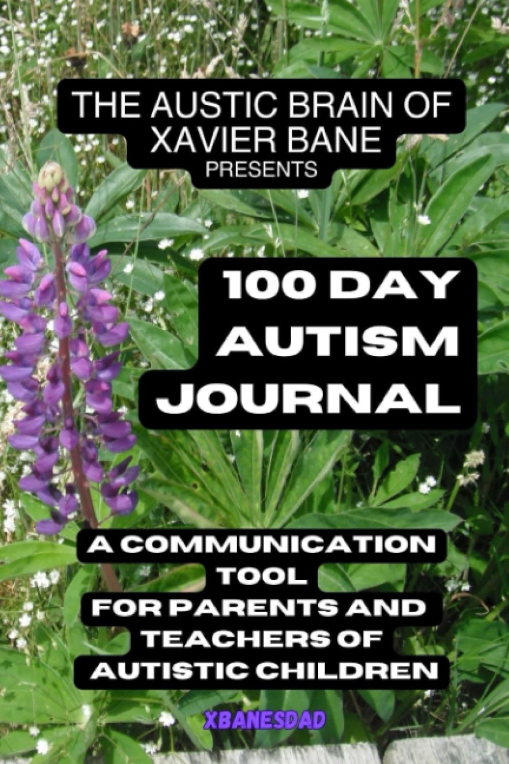 100 Day Autism Journal: A Communication tool for Parents and Teachers ...