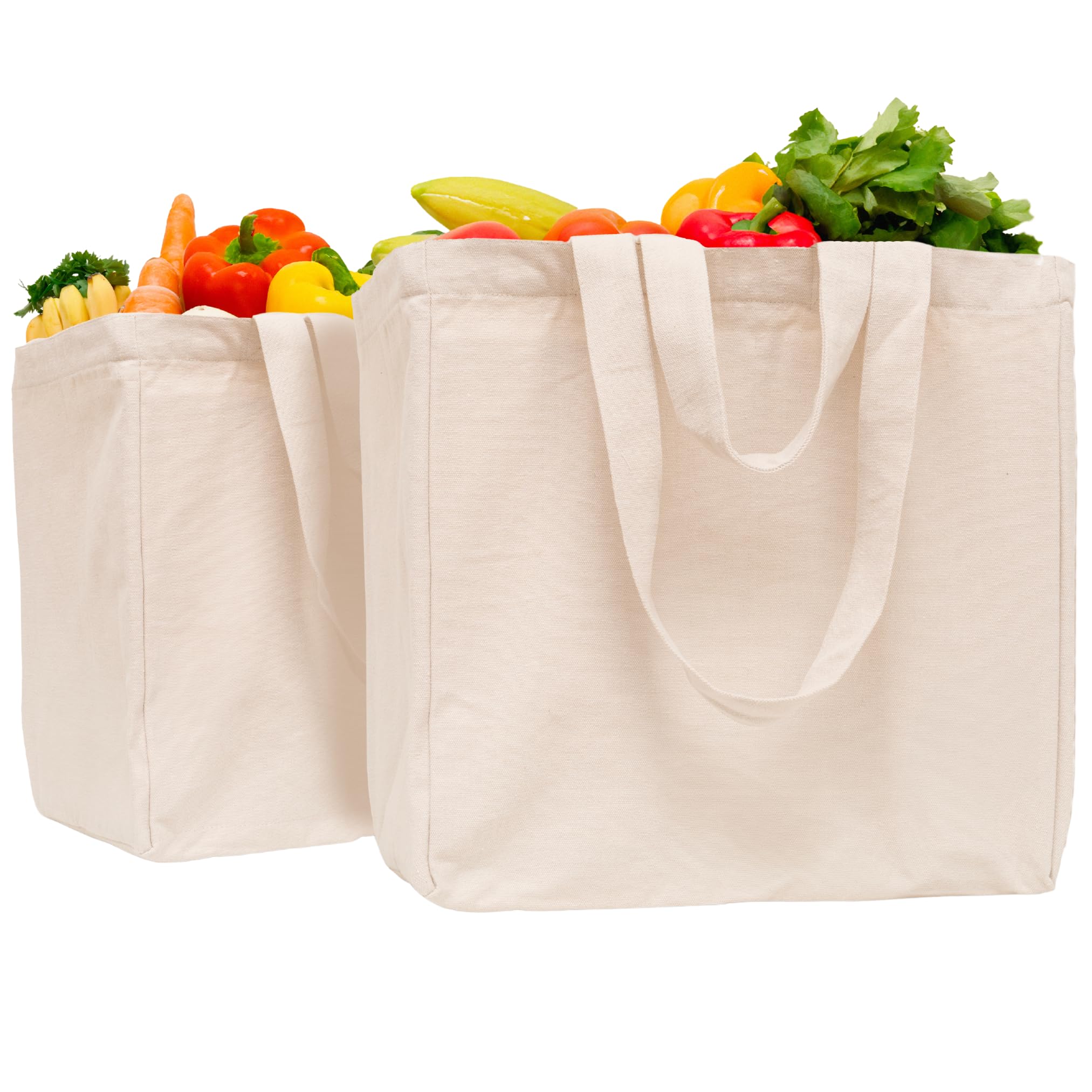 Amazon.com: Cloth Grocery Shopping Bags Handles - Sturdy Canvas ...