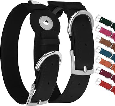 Amazon.com : Leather Dog Collar with Airtag Holder - Apple Air Tag Dog ...
