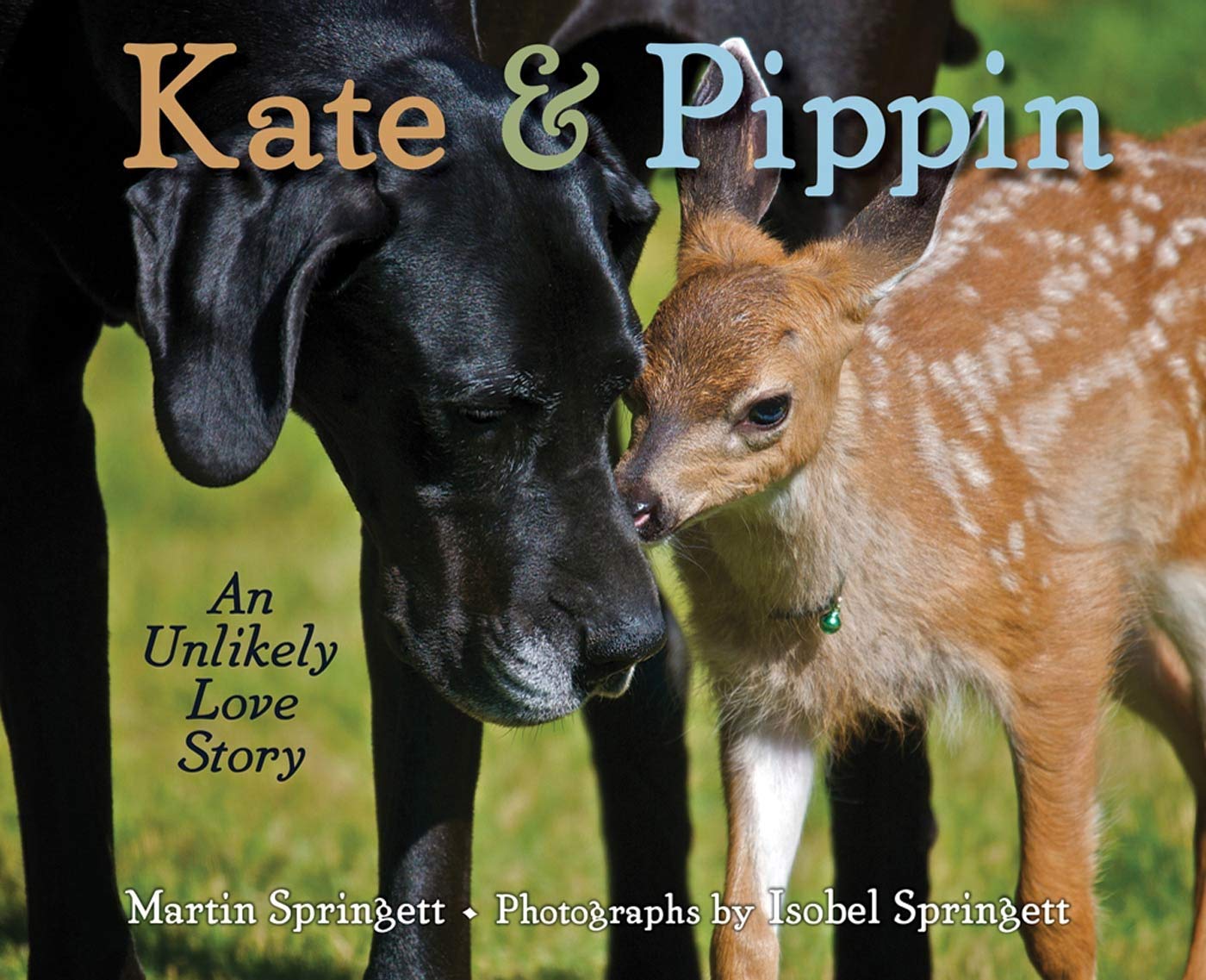 Kate & Pippin: An Unlikely Love Story (My Readers): Springett, Martin ...