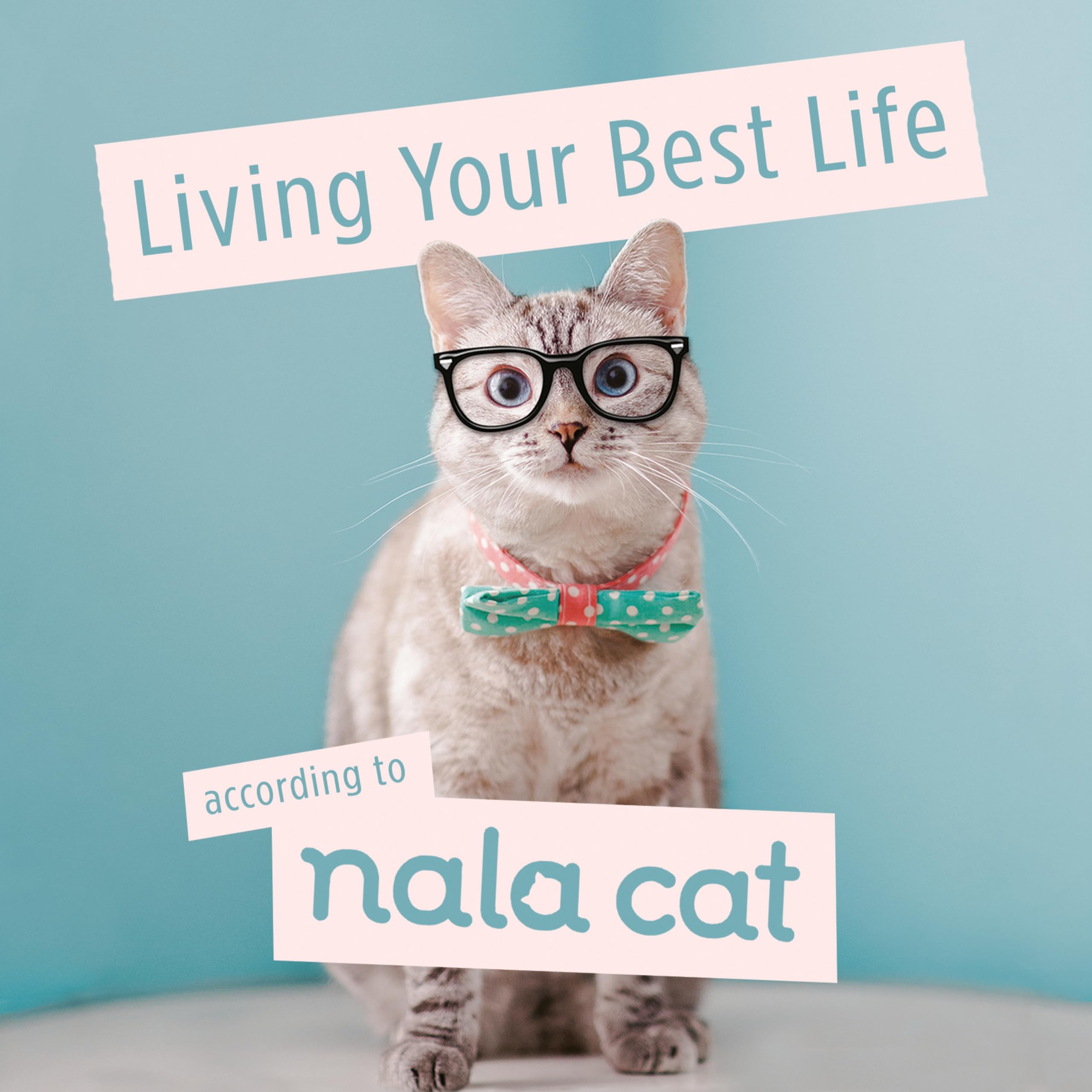 Amazon.com: Living Your Best Life According to Nala Cat: 9780593115046 ...