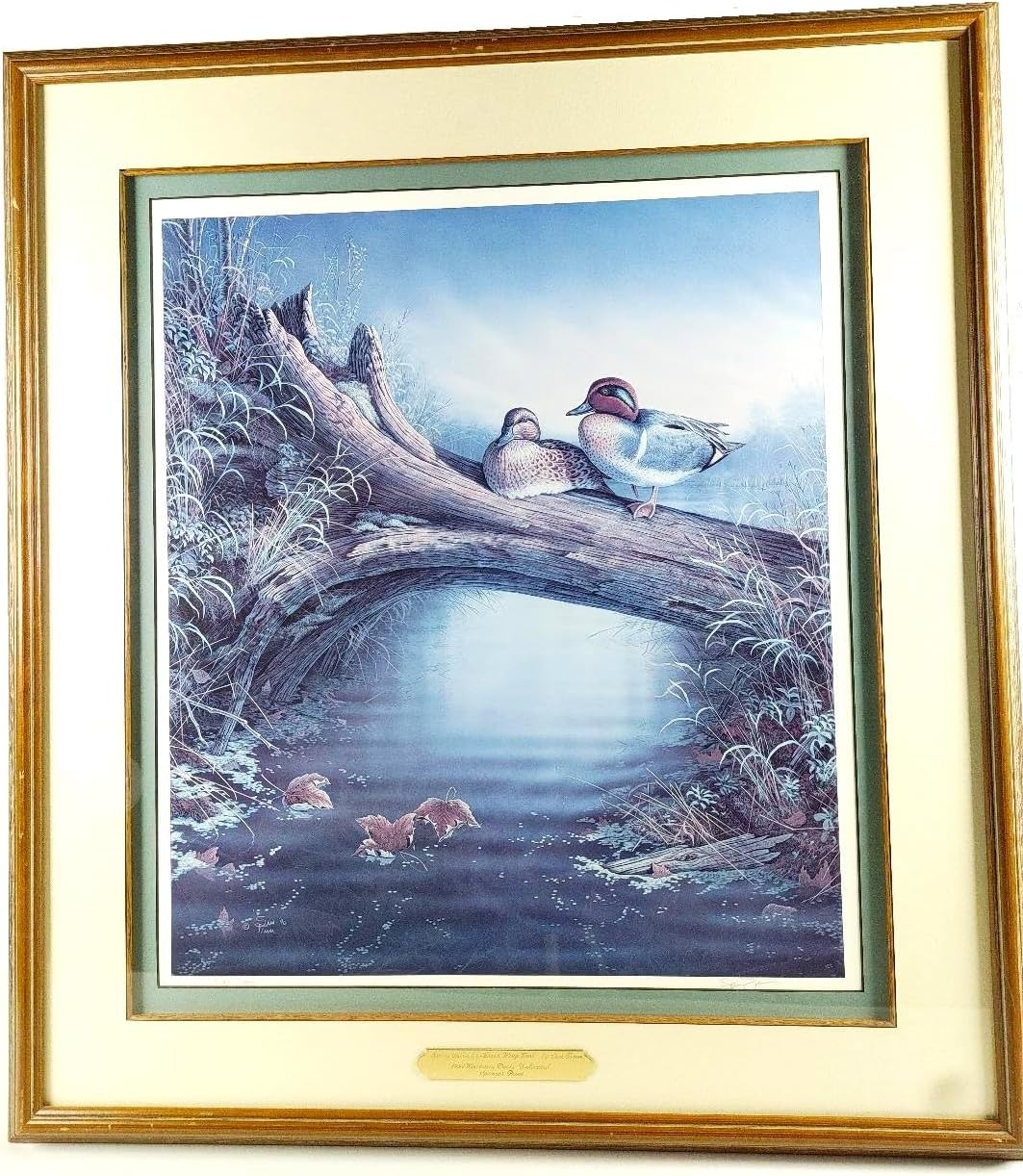 Amazon.com: Spring Splendor - Green Wing Teal by Sam Timm signed 3211/ ...