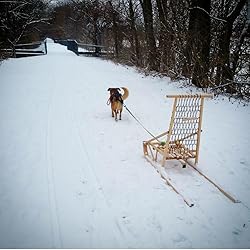 Amazon.com : Wooden Foldable Dog Sled Kicksled : Dogsleds : Sports ...