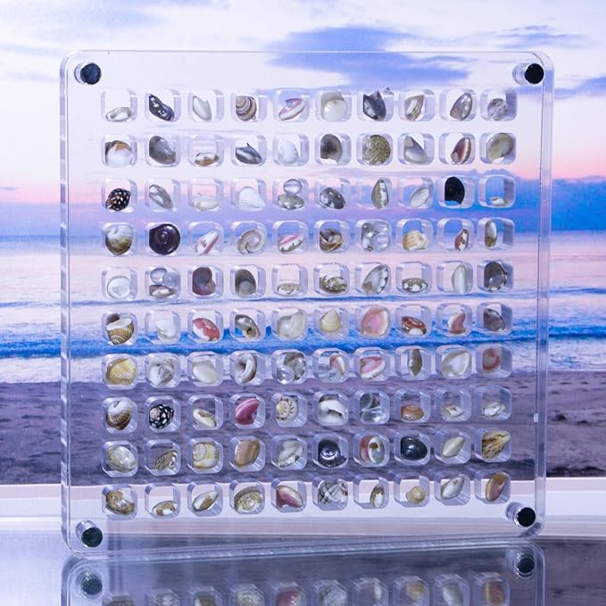 Amazon.com: Acrylic Seashell Display Case, - 100 Grids Magnetic ...