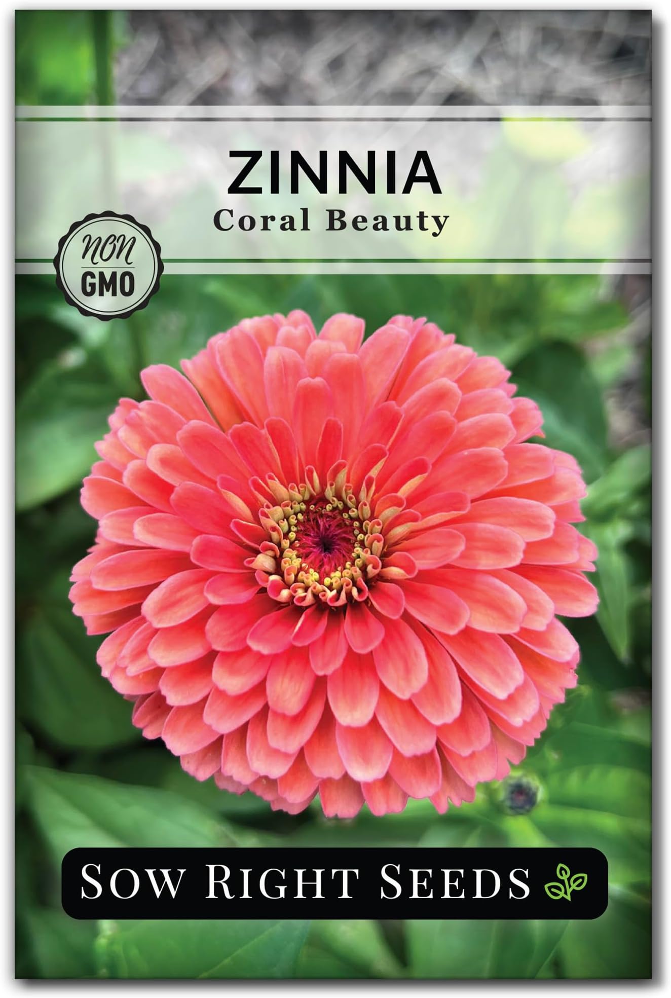Amazon.com : Sow Right Seeds - Bulk Mixed Zinnia Seeds for Planting - 1 ...