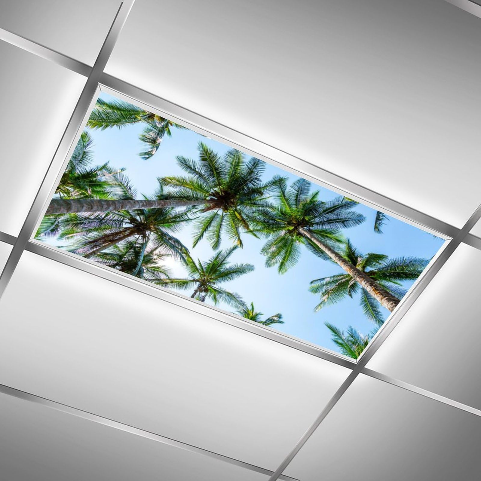 Amazon.com : 2 Pack Fluorescent Light Cover for Ceiling Light -Coconut ...