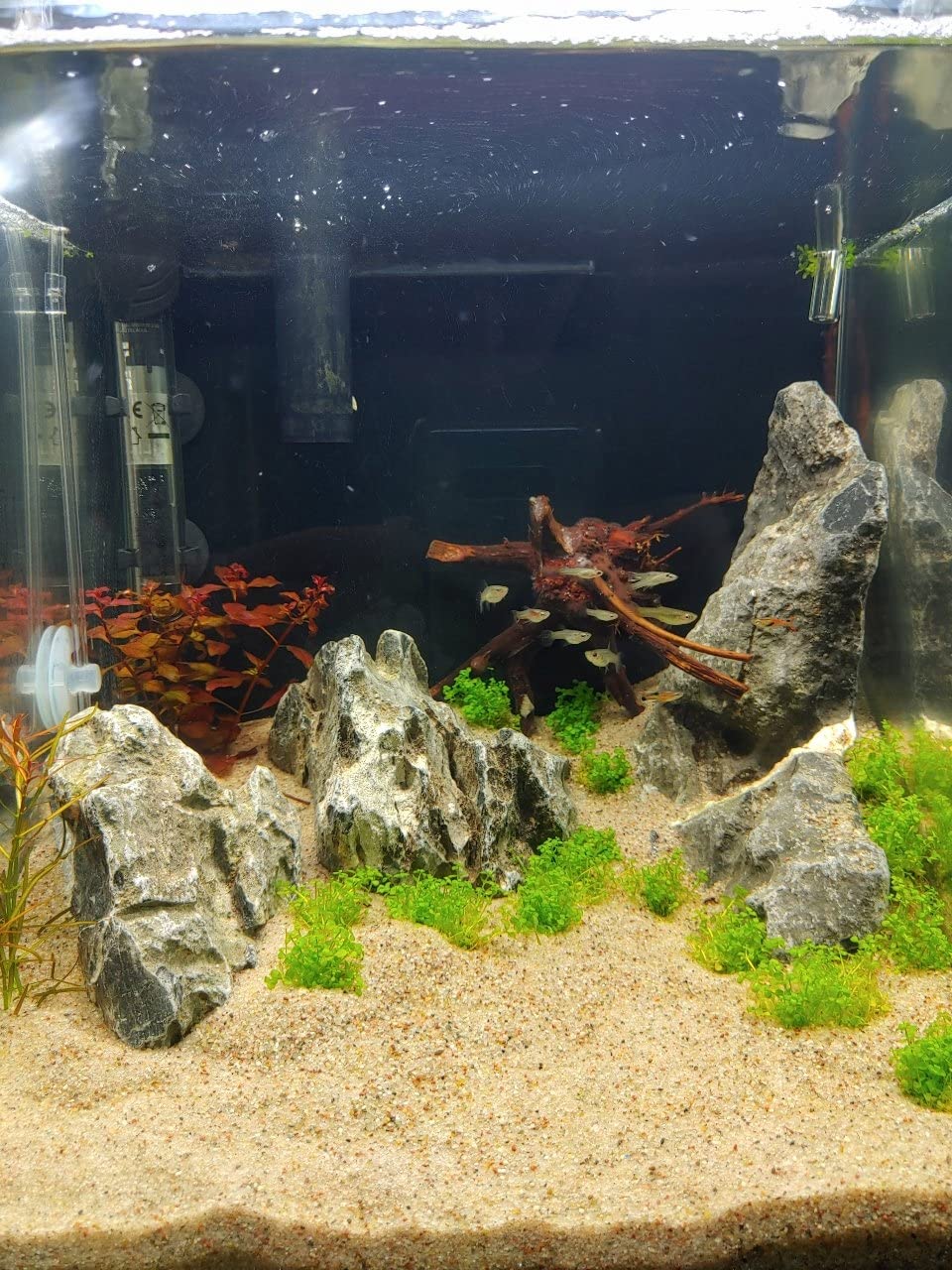 Aquarium Substrate Natural Gravel