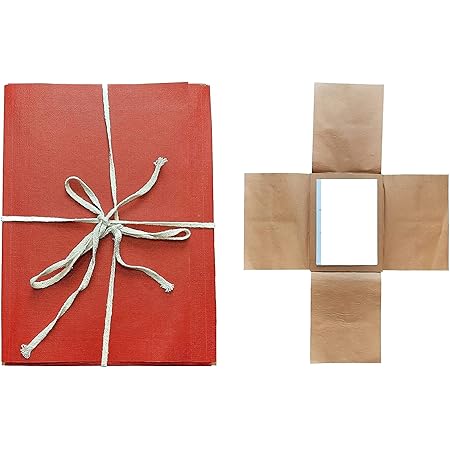 Ace Files Executive 4 Flap Folder - Pack of 10 : Amazon.in: Office Products