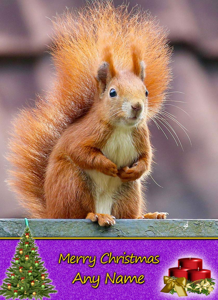 Personalised Squirrel Christmas Card (Merry Christmas, Any Name ...