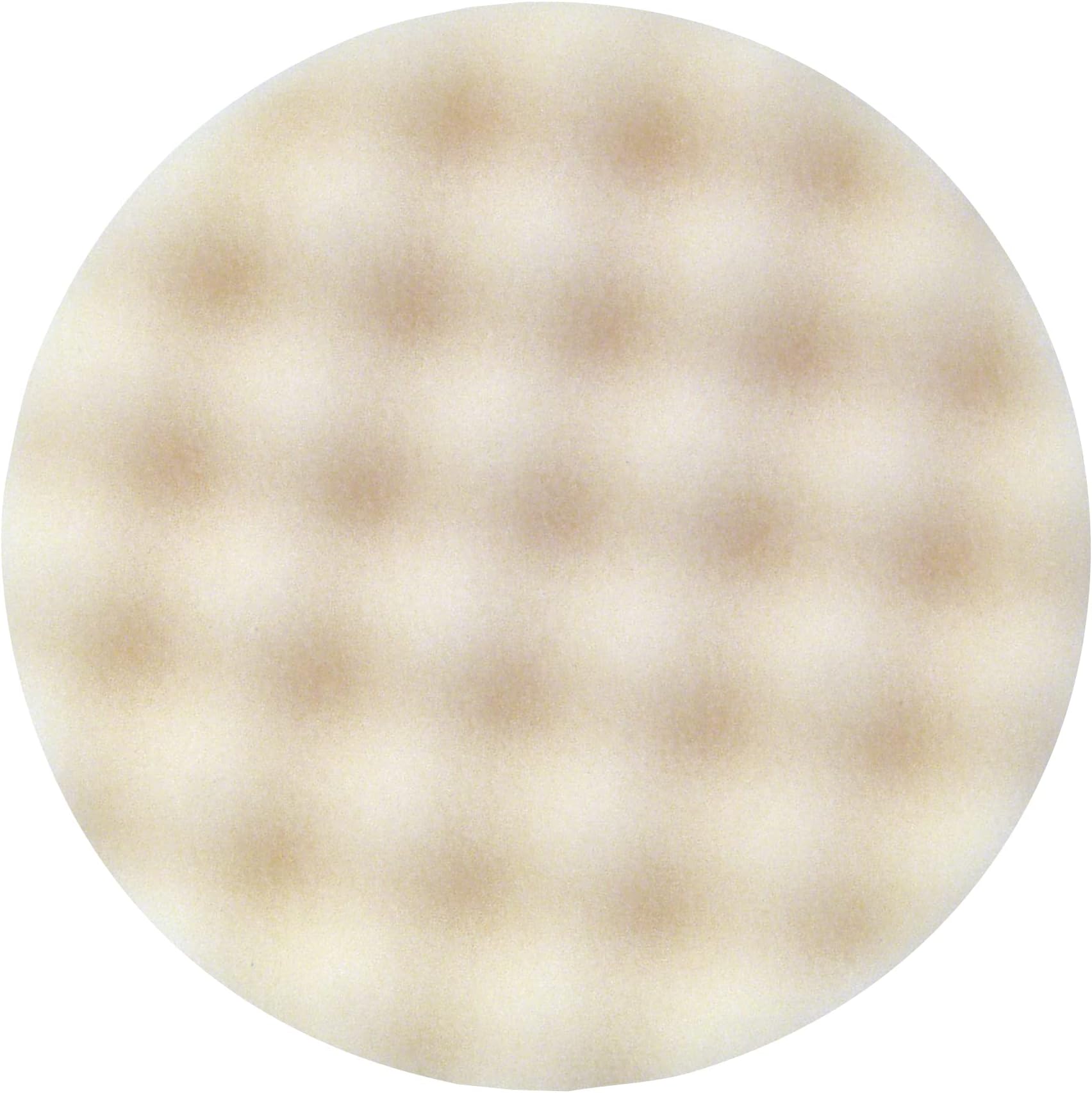 3M Perfect-It 05733 3M Borla de Esponja Azul para Abrillantar 8" NP ...