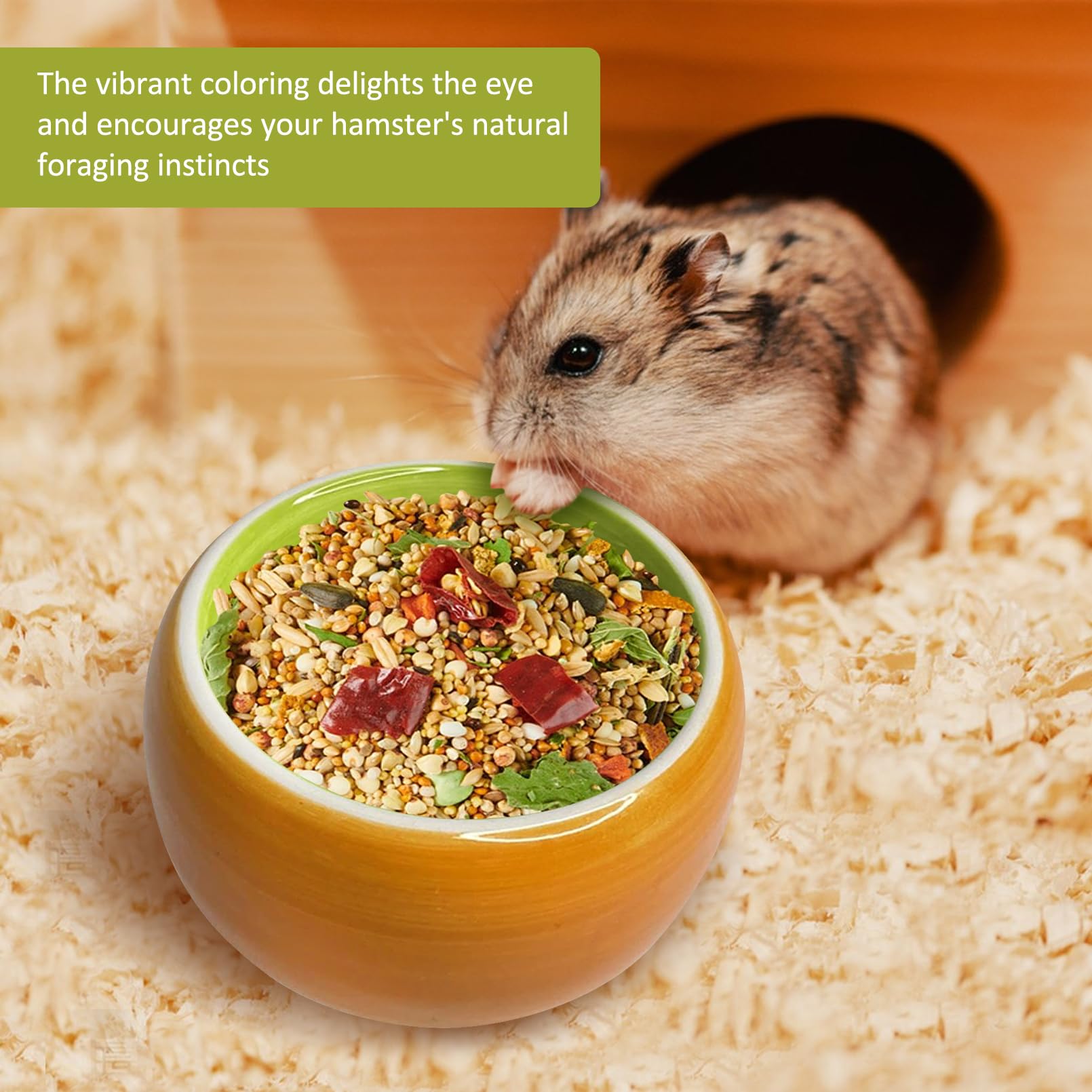 Snapklik.com : 2 Pcs Hamster Bowl, Ceramic Guinea Pig Water Bowl Small ...